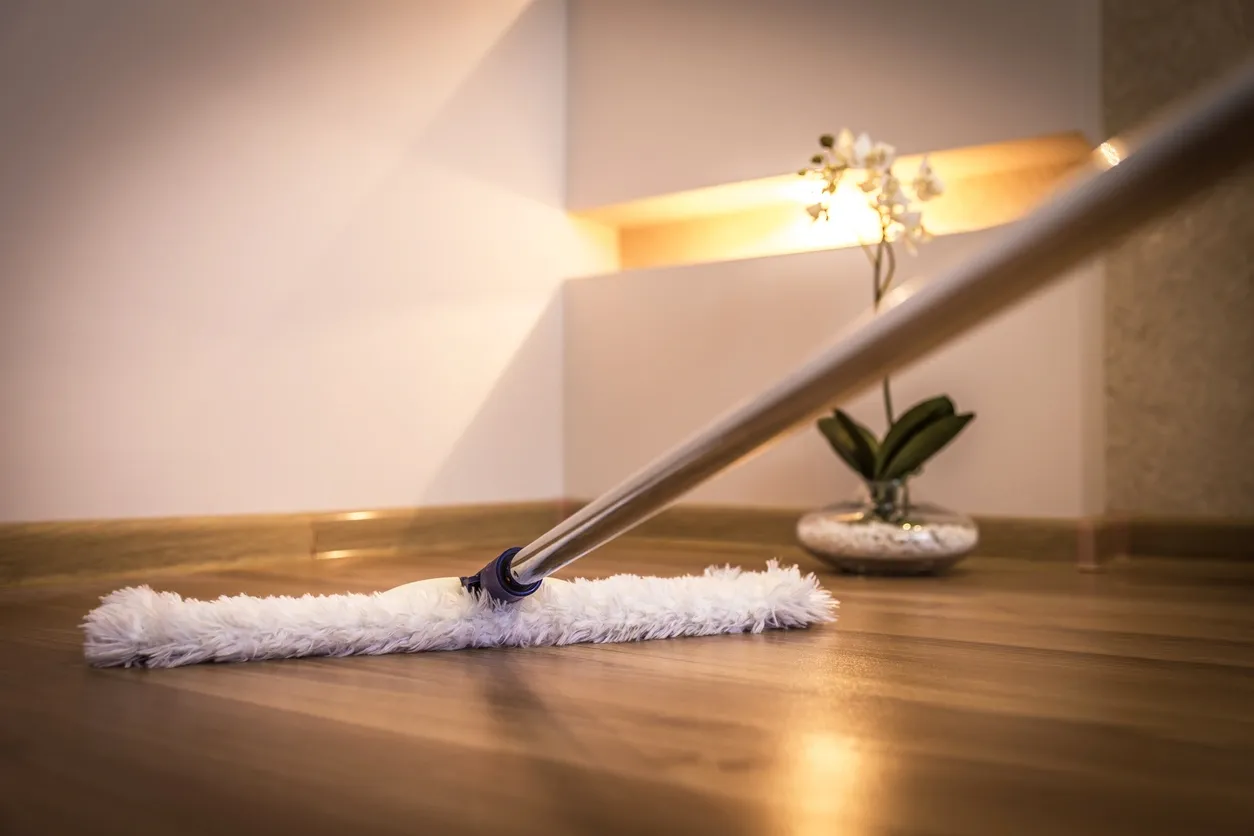 Hidden Toxins in House Dust: Why Dusting Matters - Dr. Michaela, ND
